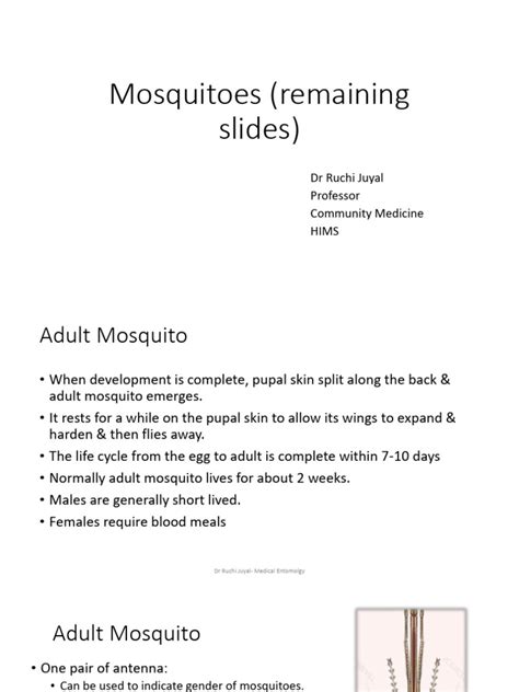 Mosquito Remaining Slides Pdf Mosquito Remaining Slides Pdf