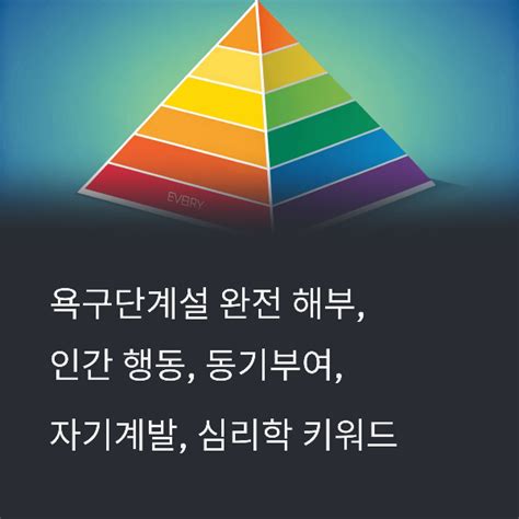 욕구단계설 완전 해부 인간 행동 동기부여 자기계발 심리학 키워드