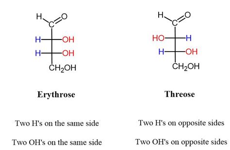 Erythrose And Threose A Comparison