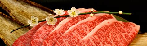 What Is Tajima Wagyu