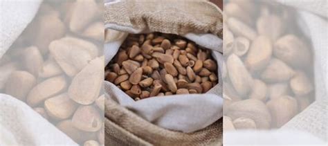 Орех кедровый дальневосточный купить в Москве с доставкой Товары для дома и дачи Авито