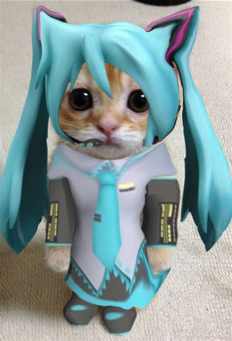 El Gatoooo Miku Character Cosplay