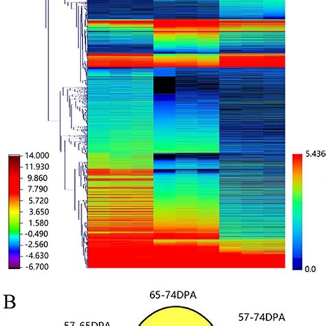 Principal Component Analysis Pca Of Transcriptome Data Three