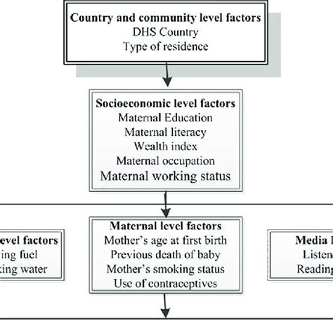 Conceptual Framework For Analysing Factors Associated With Stillbirth