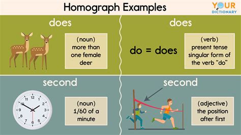 Homophones Homonyms Homographs Examples And Their Meaning