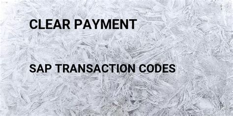 Clear Payment Tcode In SAP Transaction Codes List
