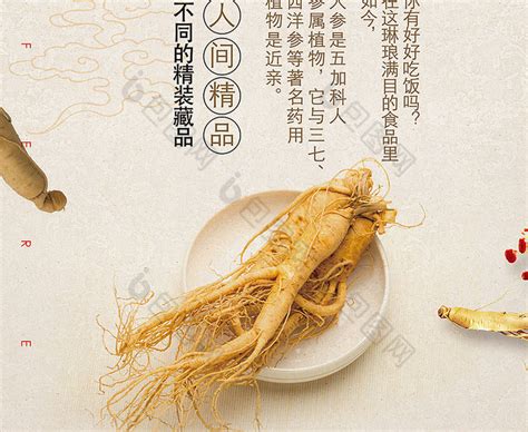 中药人参西洋参模板 包图网