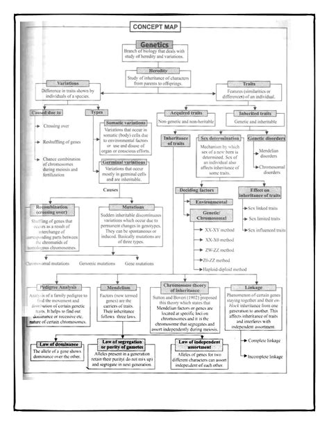 Genetics And Evolution Mind Map Download Pdf