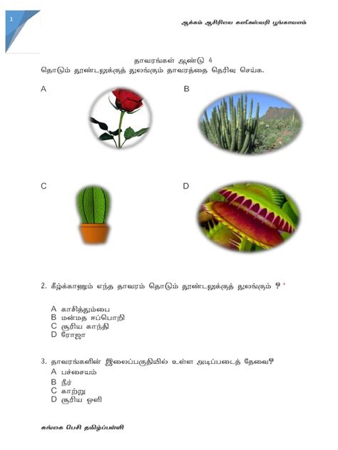 Questions Year 4 தாவரம் தாள் 1 Pdf