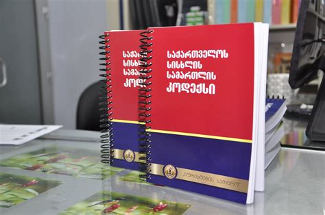 საქართველოს სისხლის სამართლის კოდექსი Posts Facebook