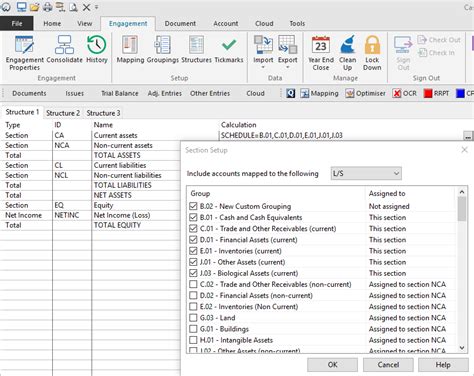 Adding Custom Grouping To A Caseware Audit File