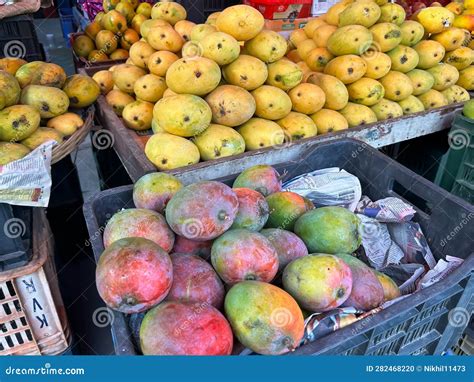 Fresh Mangoes At A Local Market In India Editorial Image Image Of