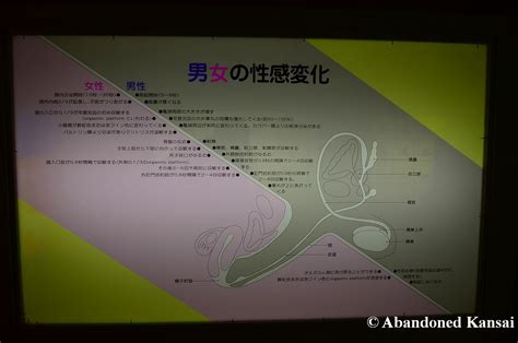 Educational Graphic At A Sex Museum Abandoned Kansai
