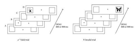 Sequence Of Events In A Valid And Invalid Trial A Two Empty Frames Download Scientific