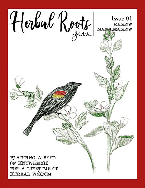 Marshmallow Issue 1 Herbal Roots Zine
