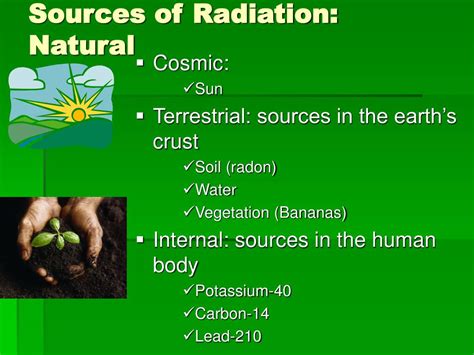 Ppt Radioactivity Powerpoint Presentation Free Download Id4364299