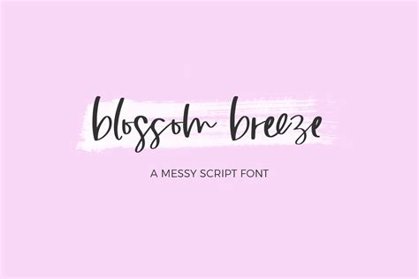 Blossom Breeze Script Beck Mccormick Font Designer