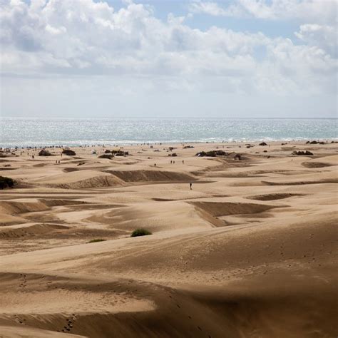 Think Twice Before Having Sex On A Dune