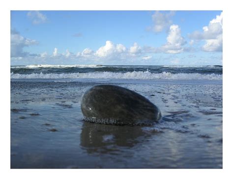 C Detect Line Of White Pixels On Image In Objective C Cocoa