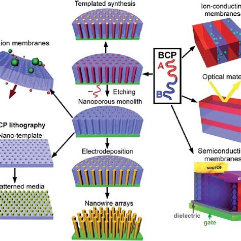 Lamellar Block Copolymer Structures Assembled Onto Di Ff Erent Wetting Download Scientific