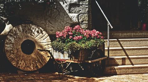 단기과열종목 지정과 해제 총정리｜단일가 매매 이유까지