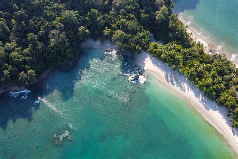 Transfers From Manuel Antonio Sama Transfers In Manuel Antonio