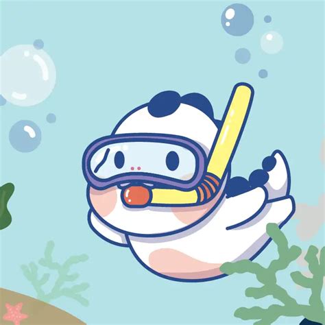 스노쿨링 By 스튜디오 쪼물 포트폴리오 노트폴리오