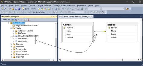 ASP NET Core Apresentando E Usando OData
