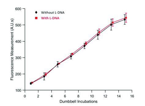 Comparison Of D Dna Amplification With Red And Without Black
