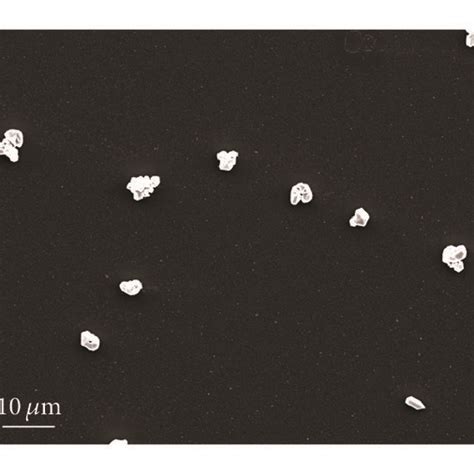 A Sem Image Of A Well Patterned Cuso4 Solution Mixed With Ethylene