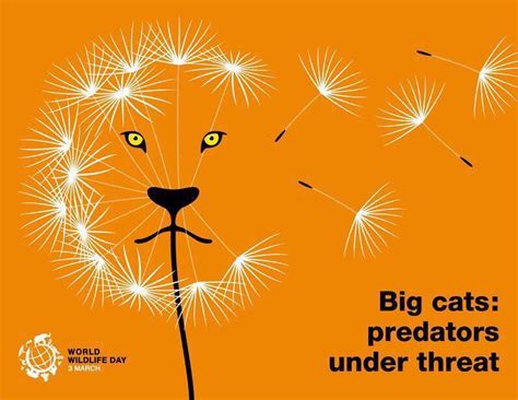 030318 รู้ยัง 3 My School Project โรงเรียนของหนู