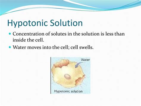 Cell Membrane Living Environment Ppt Video Online Download