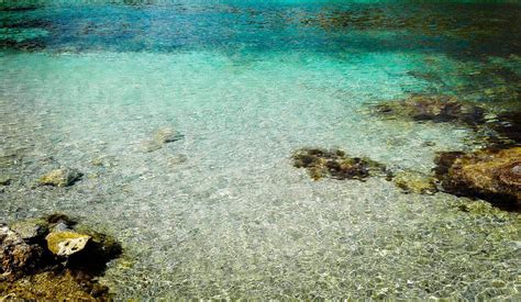 Deep Seabed Mining Bad For Biodiversity And Terrible For The Economy