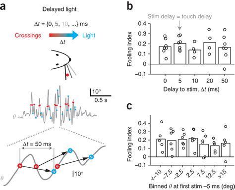 Precise Millisecond Timescale Spike Latencies Are Not Required For