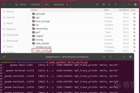 秒学会用eBPF BCC hook系统调用 知乎