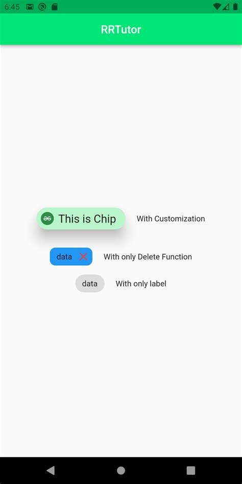 How To Use Chip Widget In Flutter