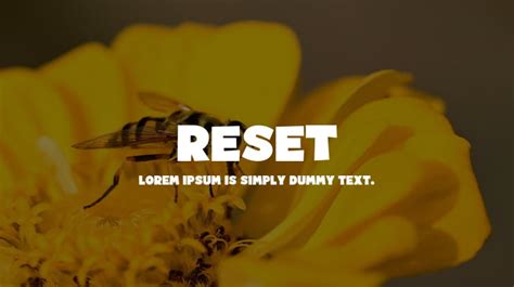 Reset Font Download Free For Desktop Webfont