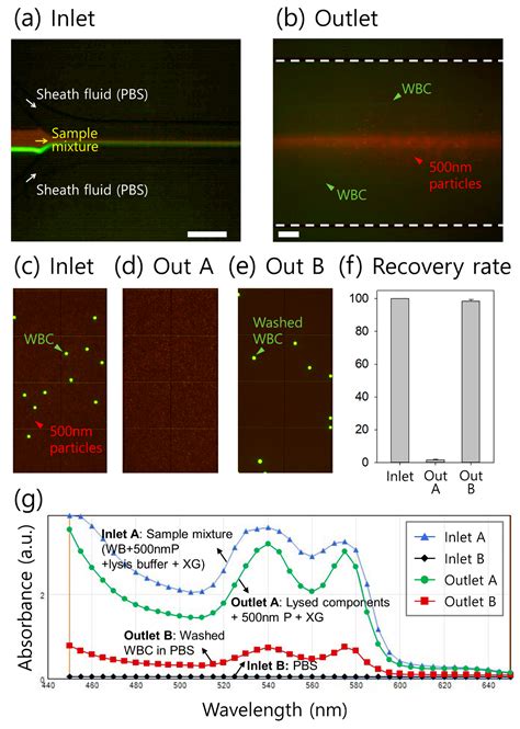 Continuous On Chip Cell Washing Using Viscoelastic Microfluidics