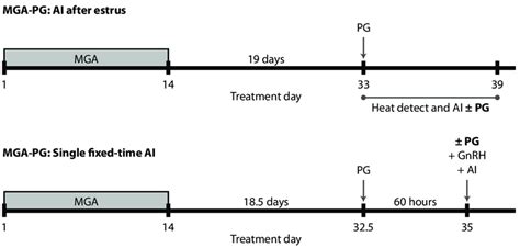 Diagram Of Treatments For Synchronization Of Estrus And Time Of Download Scientific Diagram