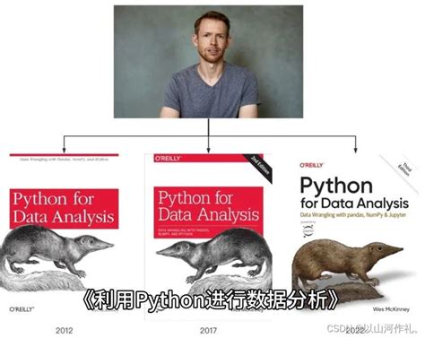 从入门到精通Python数据分析畅销书利用Python进行数据分析第三版中文版助你成为数据分析师
