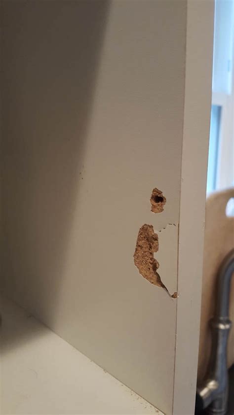 Fixing Melamine Particle Board Cabinets Finish Carpentry Contractor Talk