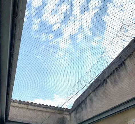 Stainless Steel Cable Mesh Safety Netting China Net And Steel Net