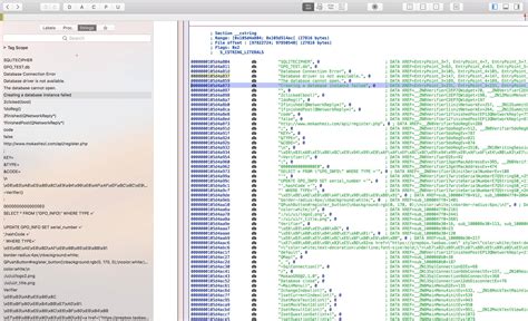 Hopper When I Write Into A Memory Address In Gdb Is It An Absolute