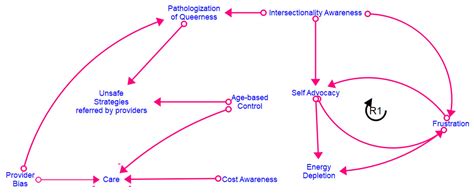 Healthcare Free Full Text Mapping The Dynamic Complexity Of Sexual And Gender Minority