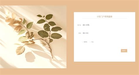 基于springbootvue微信小程序数据可视化大屏的小区门户系统设计和实现源码lw部署讲解可视化大屏门户 Csdn博客