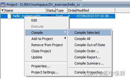 Common Digital Design Simulation Tools Questasim Vcs Ius Verdi Etc Use Entry