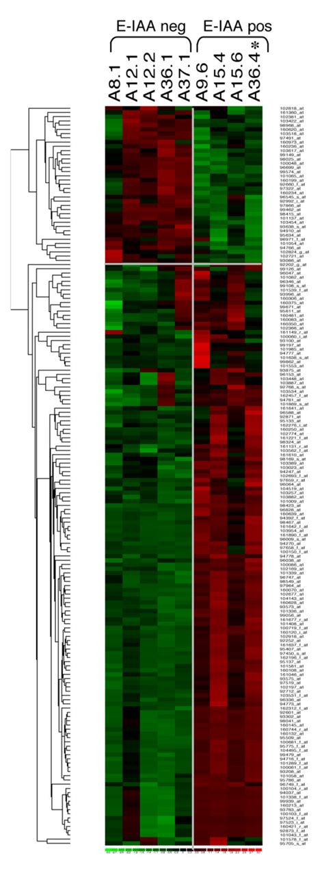 Hierarchical Clustering Representation Of Differentially Expressed Download Scientific Diagram
