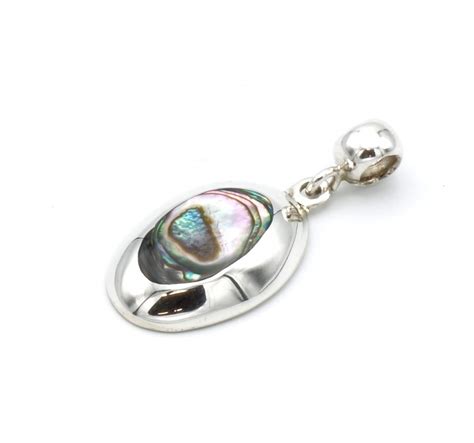 Kleine Zilveren Hanger Met Abalone Schelp 2be Aware