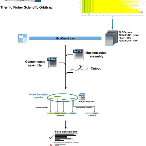 The Overall Workflow Of Our Proteomics Data Analysis The Mass Spectral