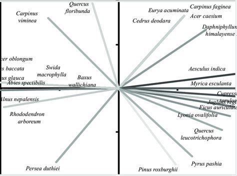 Bi Plot Of Principal Component Analysis Download Scientific Diagram